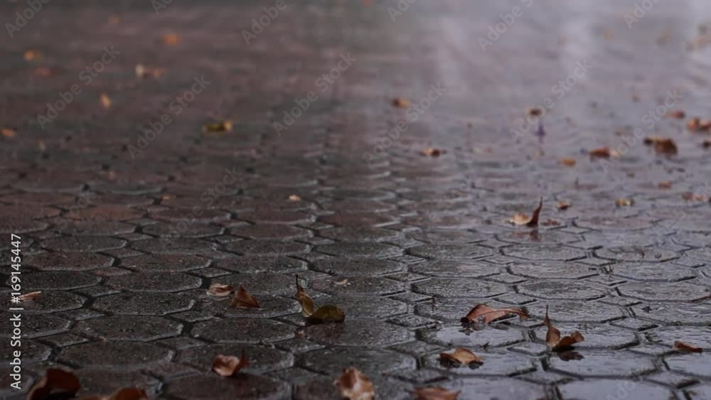 Low angle close up view of rain drops hitting wet pavers on driveway ...