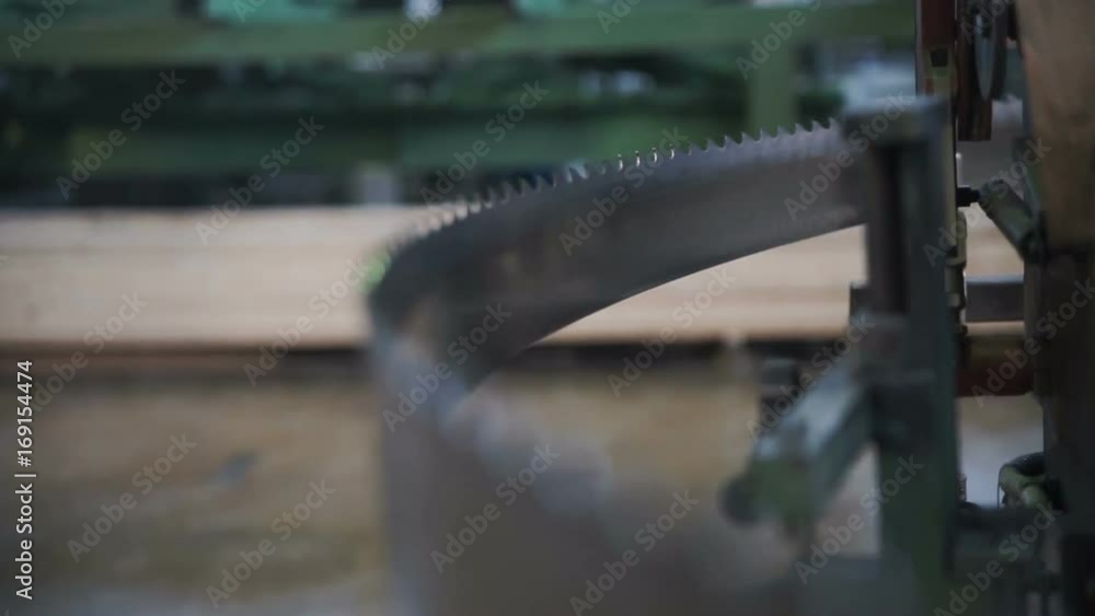 Lumber industry - Conveyors of logs in front of cutting machines.The ...