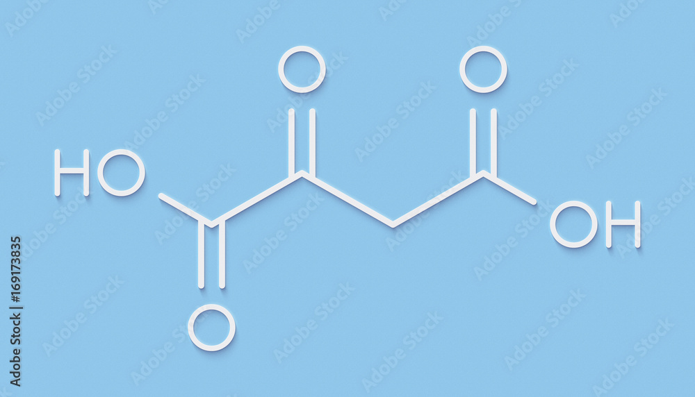 Oxaloacetate Structure