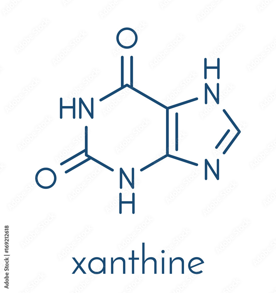 Xanthine purine base molecule. Skeletal formula. Stock Vector | Adobe Stock