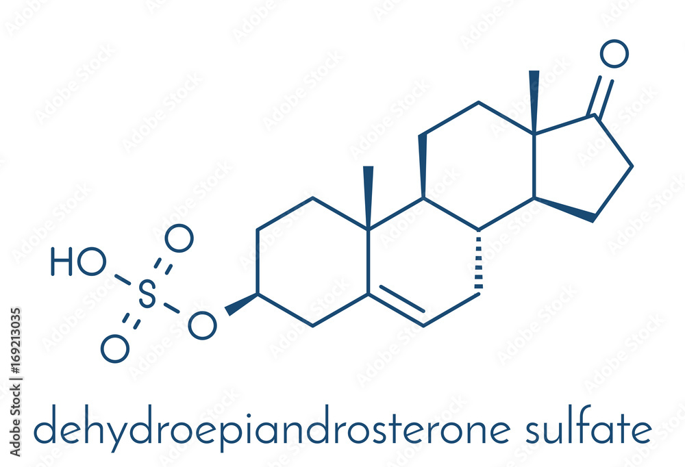 Dehydroepiandrosterone