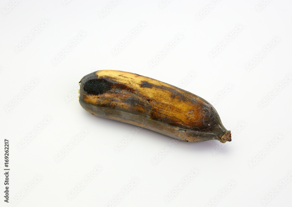 Wild Banana Vs Cultivated Banana