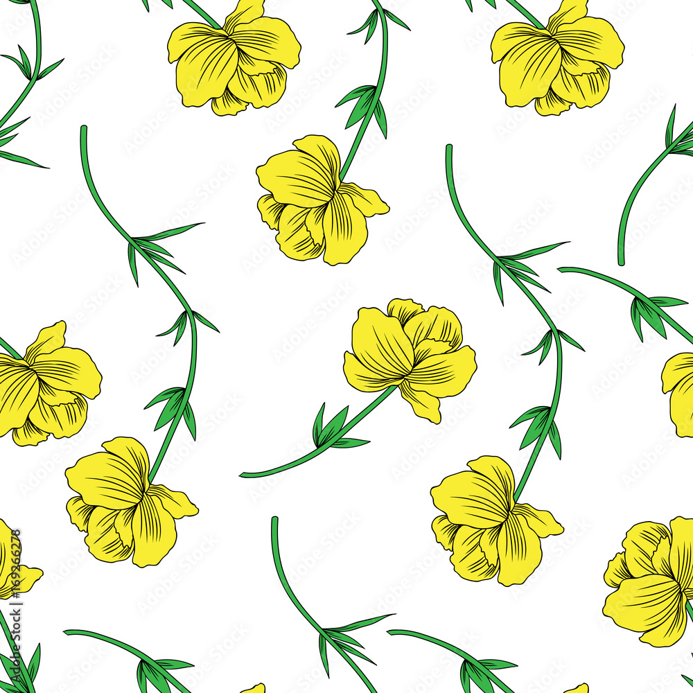 Trollius asiaticus flowers, globeflower hand drawn vector sketch ...