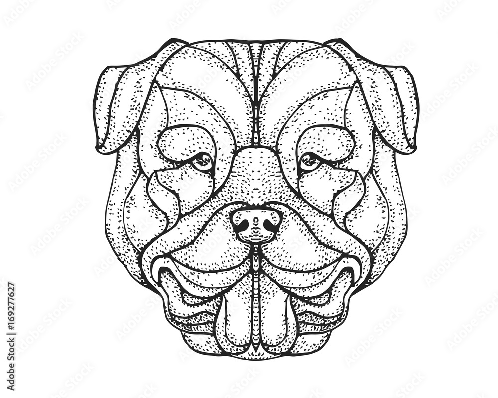 Detail Dotted Style Hand Drawing Dog Illustration - Rottweiler Stock ...