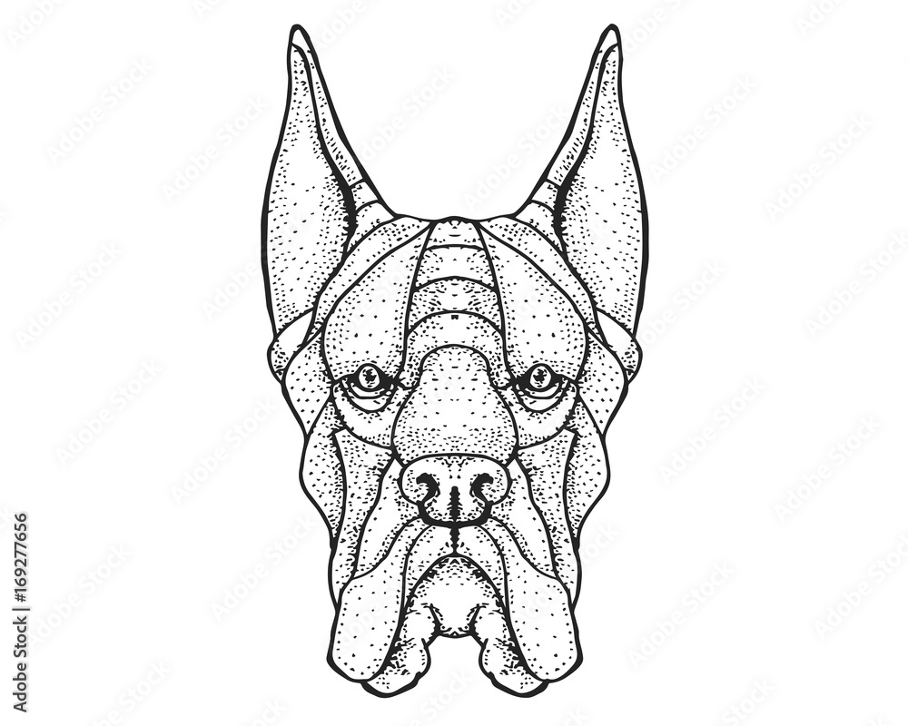 Detail Dotted Style Hand Drawing Dog Illustration - Great Dane Stock ...