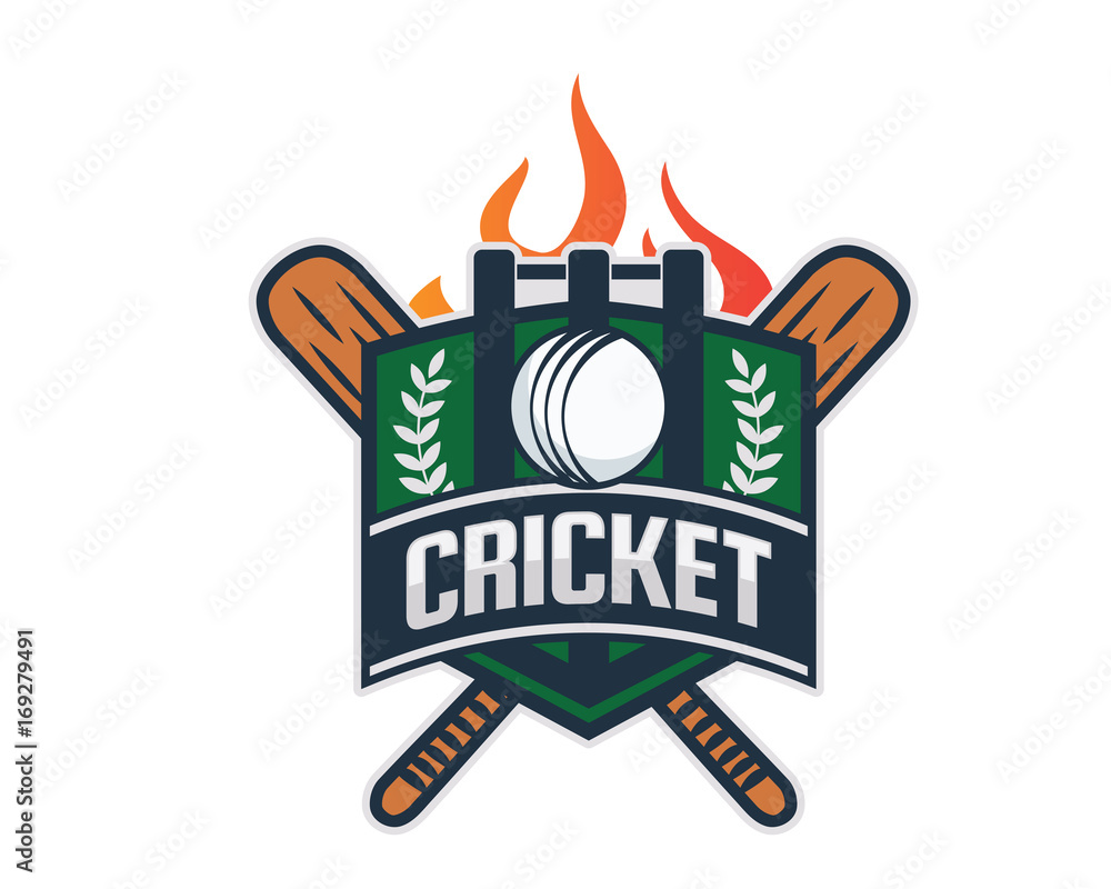 Modern Professional Isolated Sports Badge Logo - Flaming Cricket Team ...