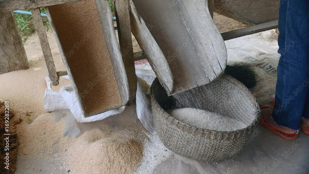 vintage wooden exit tray of old fashioned rice processor machine in use ...