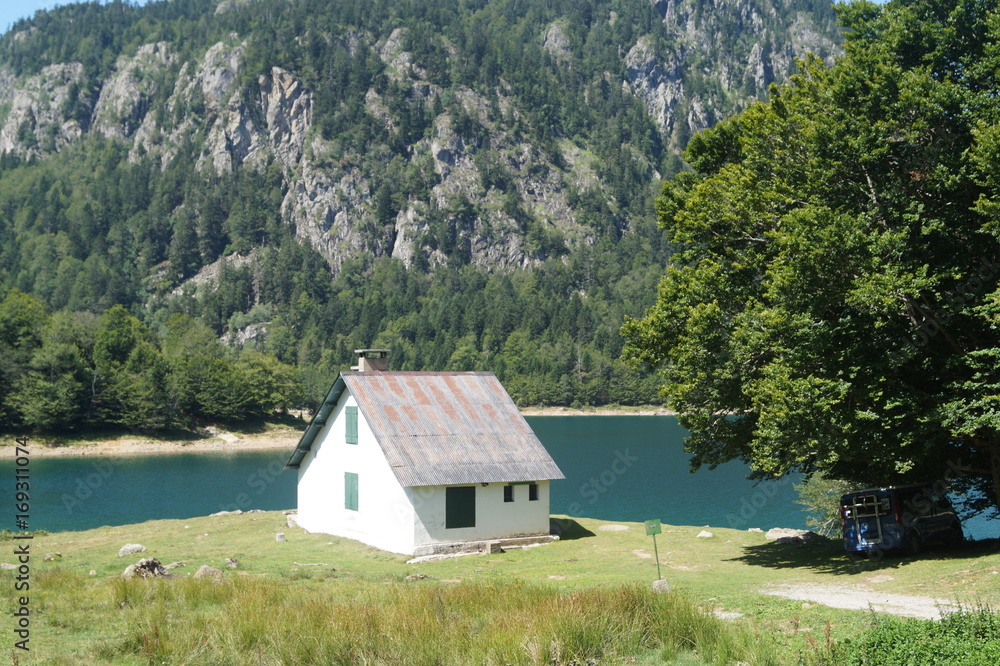 Pyrénées, lac, vaches, animaux, pics, montagne, Ossau, Gabas Stock ...