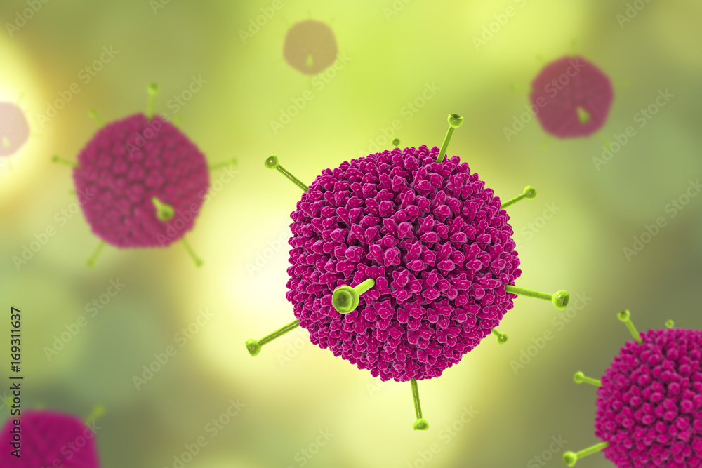 Molecular model of Adenovirus, a DNA-virus which causes respiratory and ...