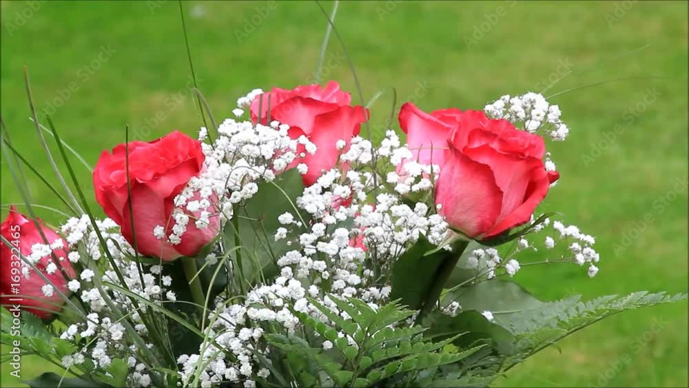 red roses bouquet with white gypsophila Stock Video | Adobe Stock