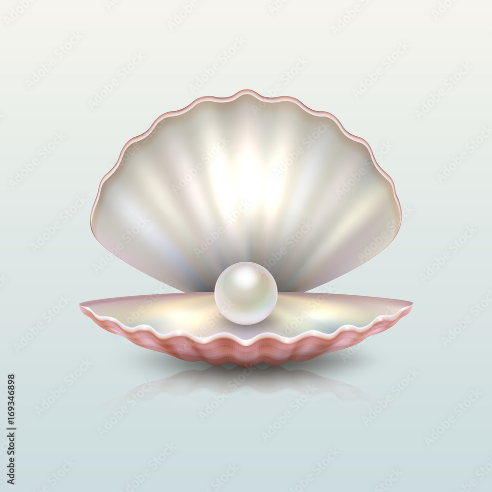Realistic vector beautiful natural open sea pearl shell closeup with ...