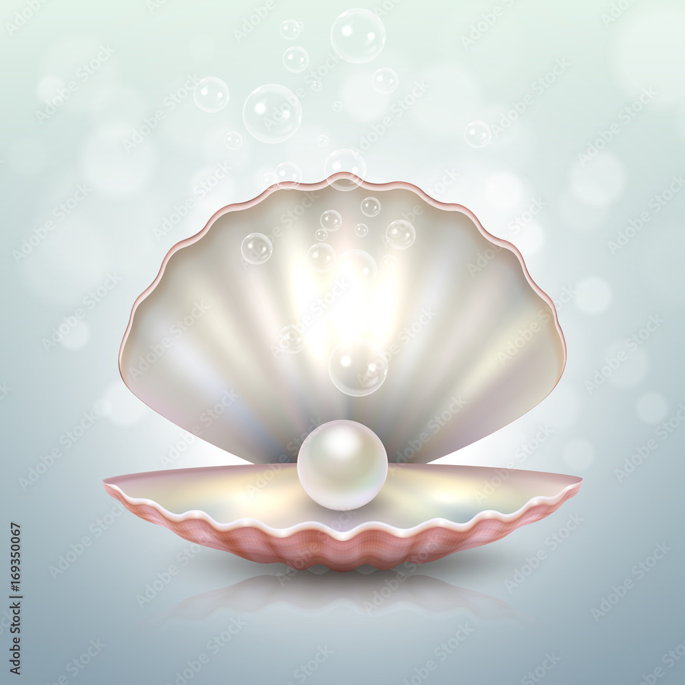 Realistic vector beautiful natural open sea pearl shell closeup with ...