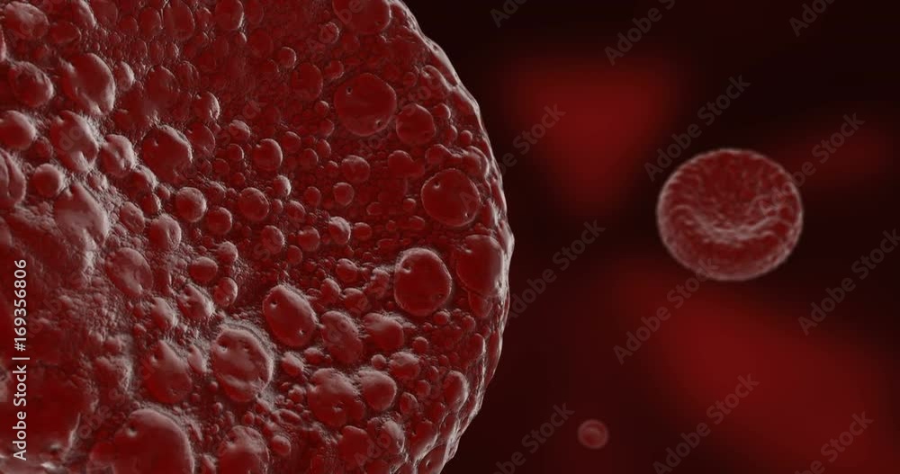 Animation of blood cell or red blood cell flowing in stream in artery ...