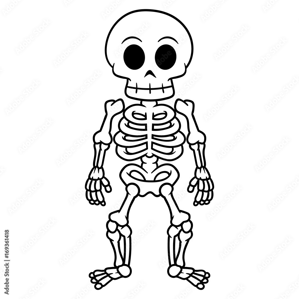 Cartoon Skeleton Stock Vector | Adobe Stock