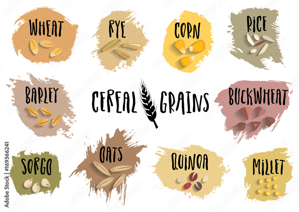 Vector set of cereal emblems with black handwritten lettering and hand ...