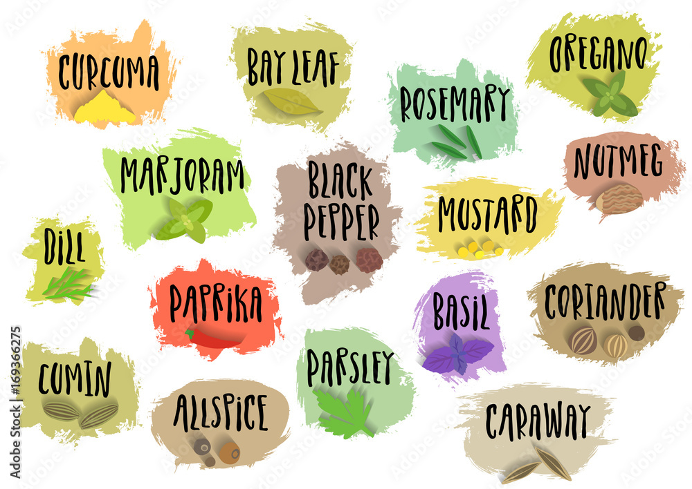 Vector set of trendy emblems for spices packing. Various natural herbal ...