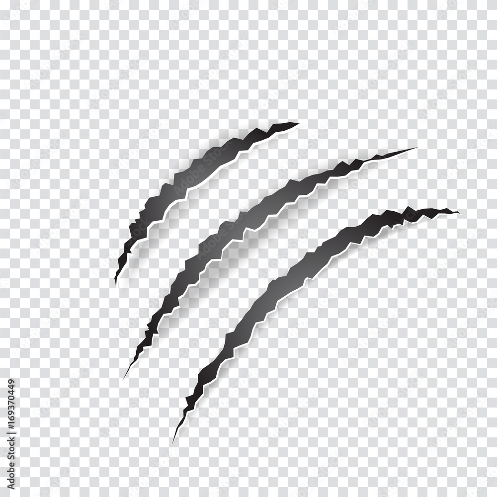 Claws scratches animal or monster on transparent background. Vector ...