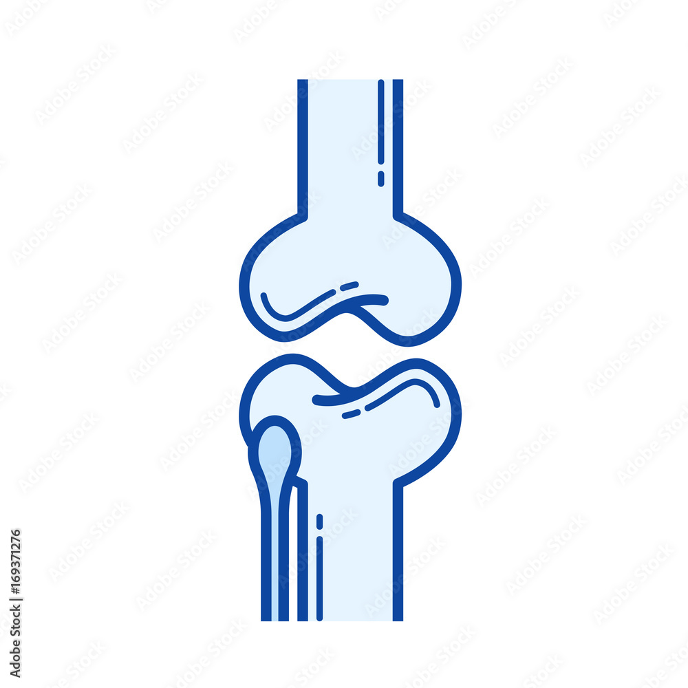 Knee joint vector line icon isolated on white background. Knee joint ...