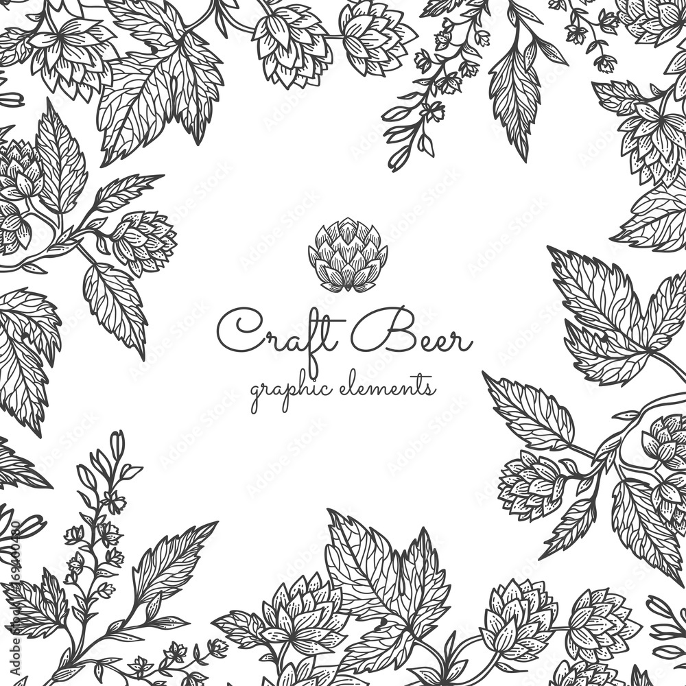 Beer hops branch with leaves and hop cones. Vintage engraved hops for ...