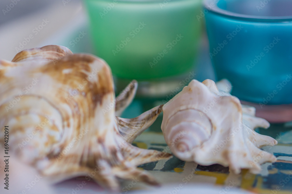Summer set for relaxation from shells and candlesticks. Concept ...