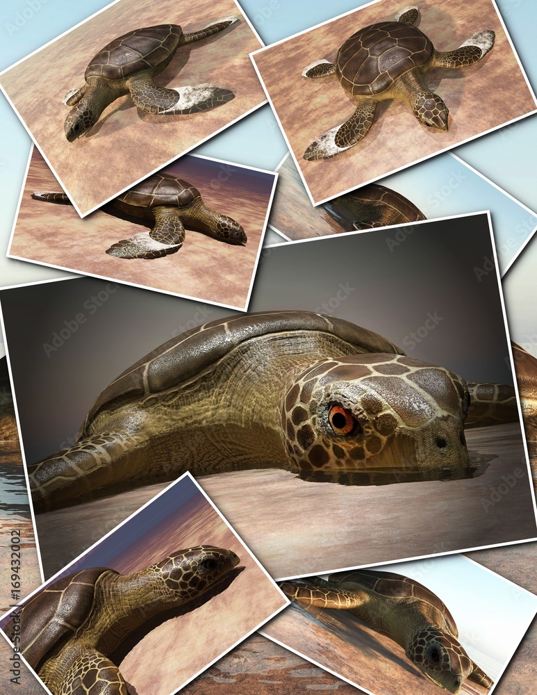 Sea turtle laying eggs on the beach - collage 3d rendering Stock ...