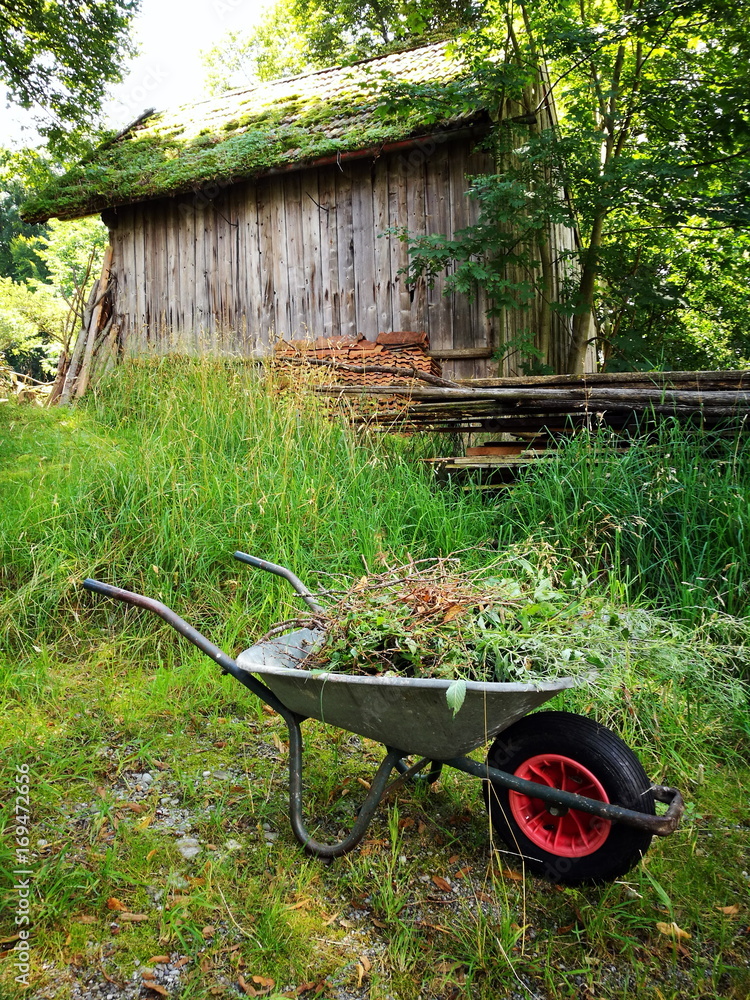 Schubkarren mit Gartenabfällen im Grünen vor einer alten Holzhütte mit Patina am Waldrand auf ...