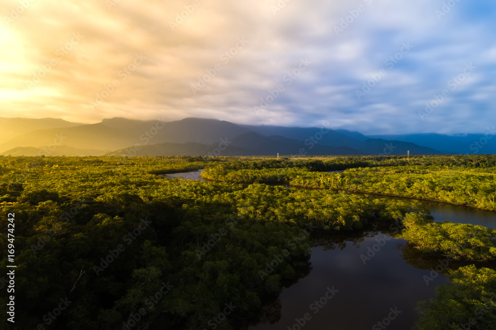 Amazon Rainforest in Brazil Stock Photo | Adobe Stock