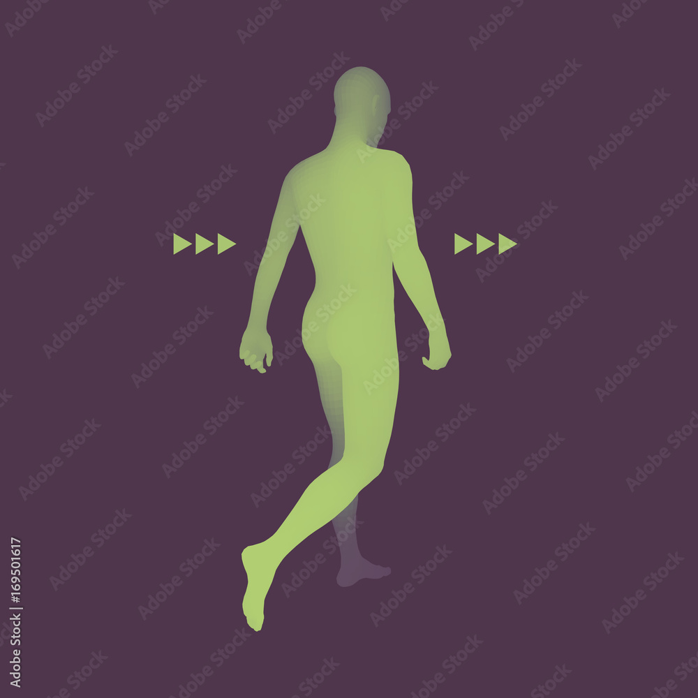 Walking Man. 3D Human Body Model. Design Element. Vector Illustration ...