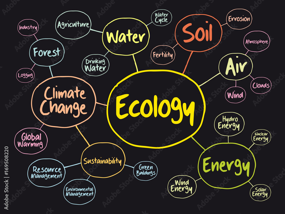 Ecology mind map flowchart concept for presentations and reports Stock ...