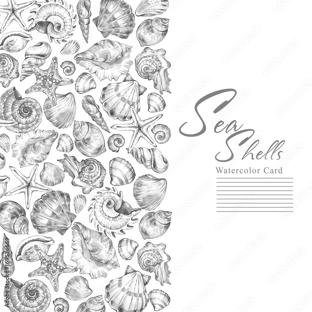 Hand painted seashells vertical border. Watercolor decorative summer ...
