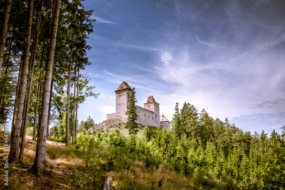 Castle Hills Forest