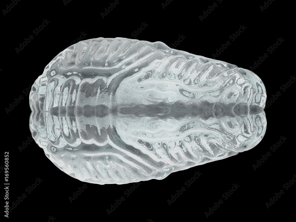 Frozen brain cryogenic concept. Cerebellum. Human brain freeze 3D ...