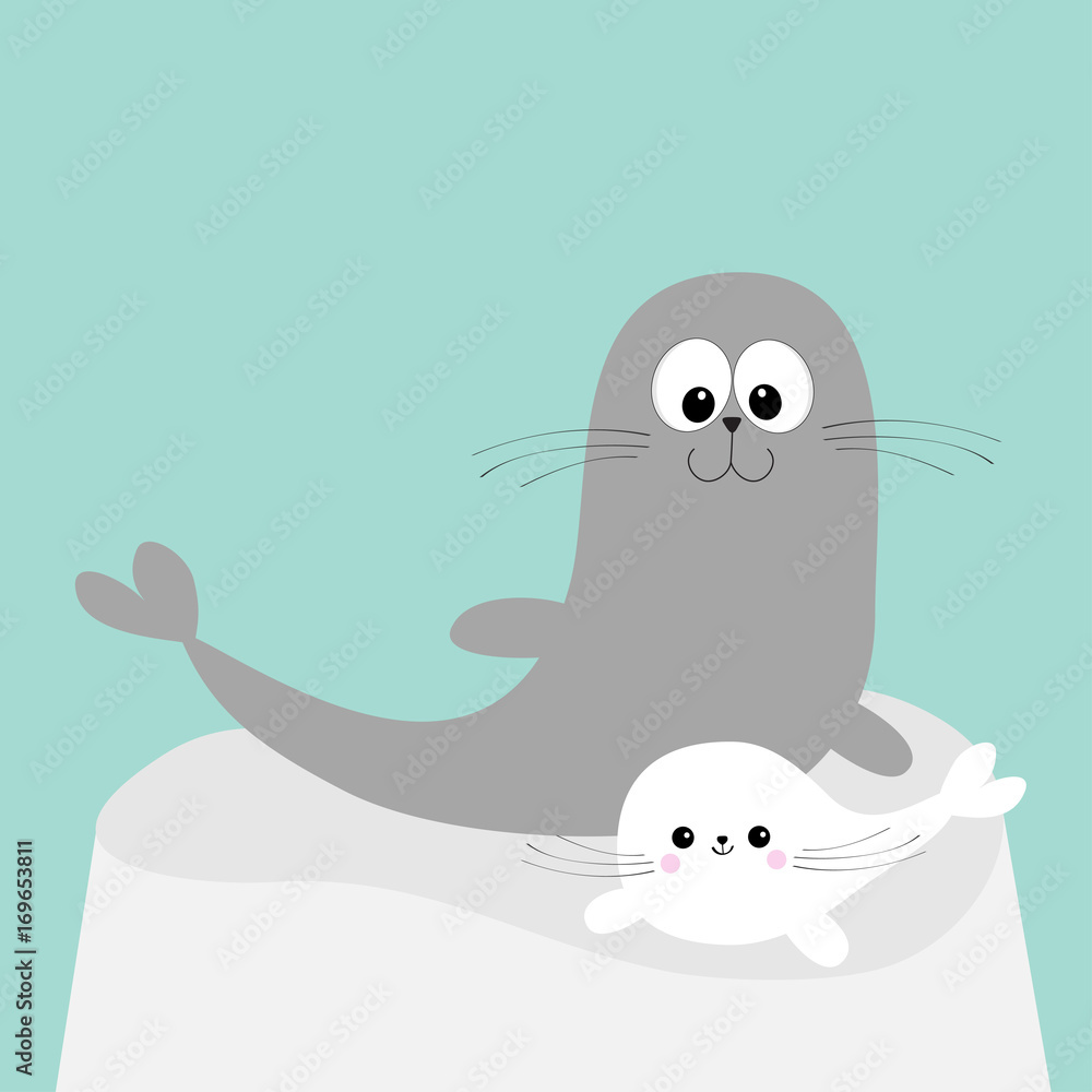 Arctic Seal Clipart
