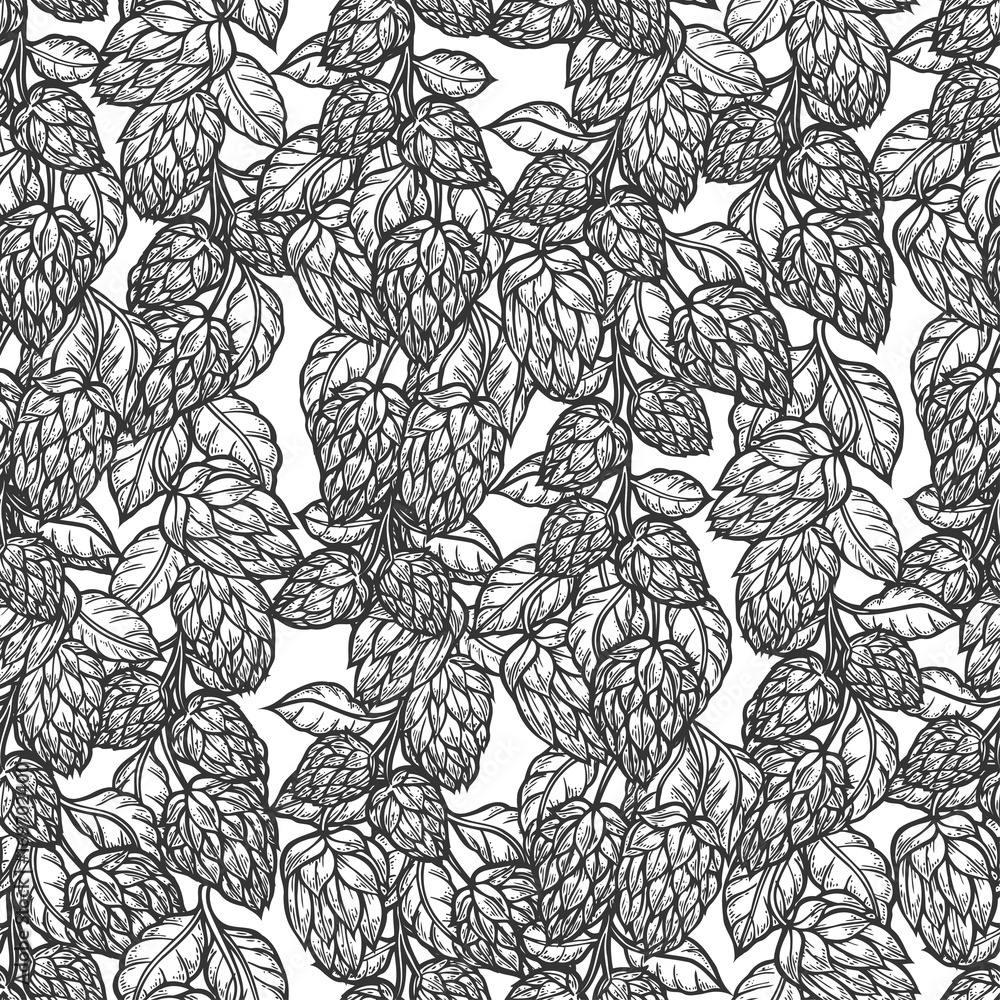 Hop vector seamless pattern.Black hand drawn artistic beer hop branch ...