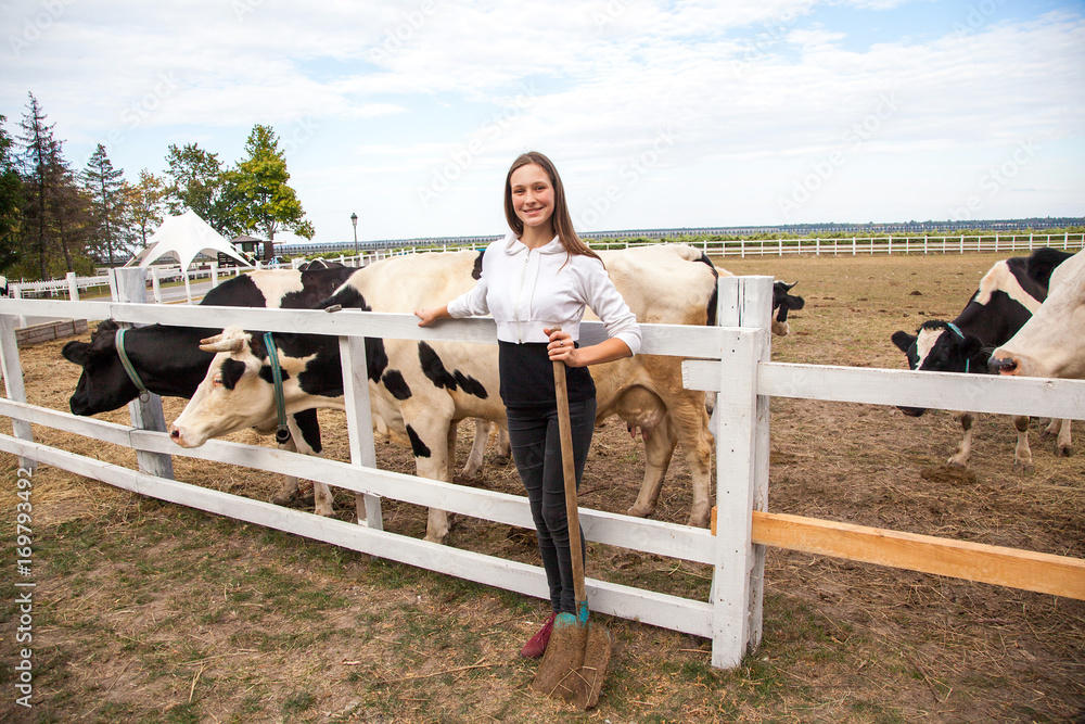 Happiness girl feeding cows on a farm. Young adult freckled girl feed ...