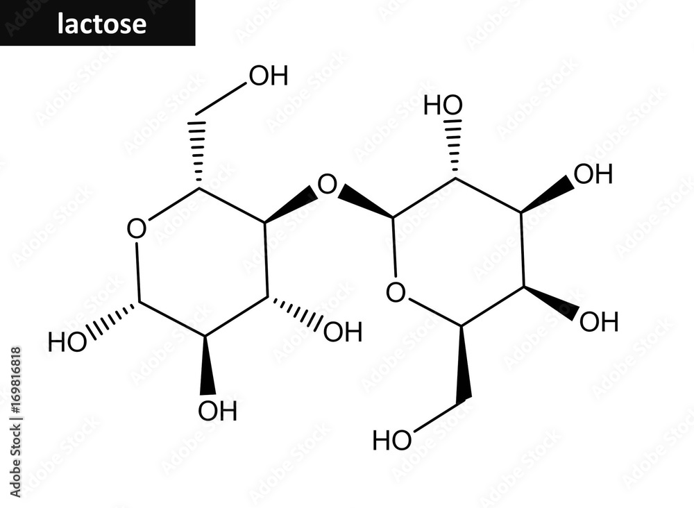 Photo & Art Print Molecular structure of lactose,, raimund14