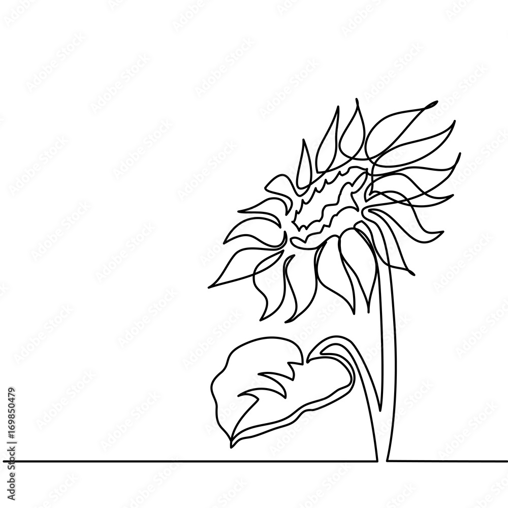Beautiful sunflower. Continuous line drawing. Vector illustration Stock ...