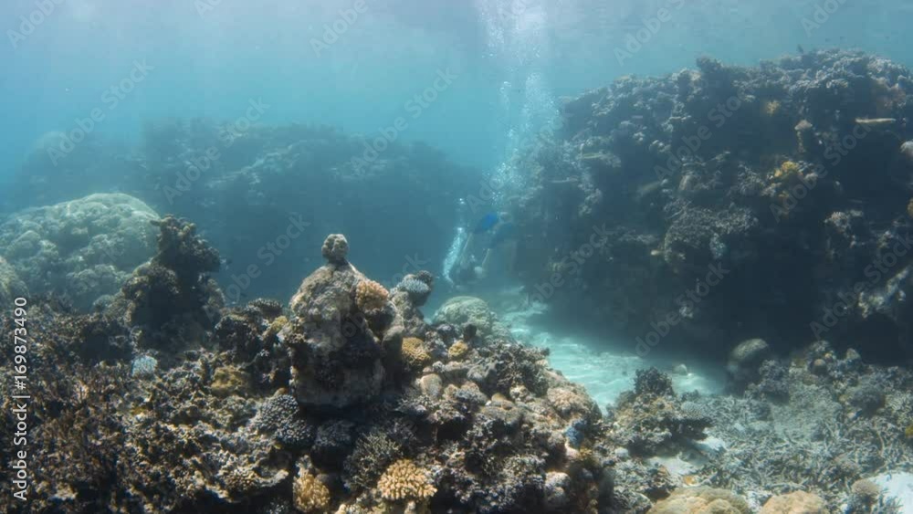 A wide shot of the blue seabed with scuba diver trying to go over the ...