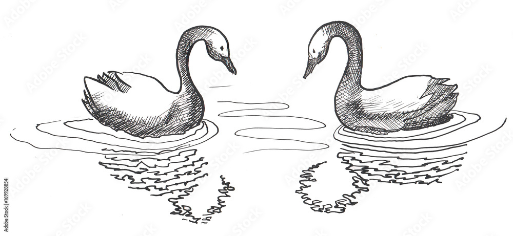 Water Reflection Drawing