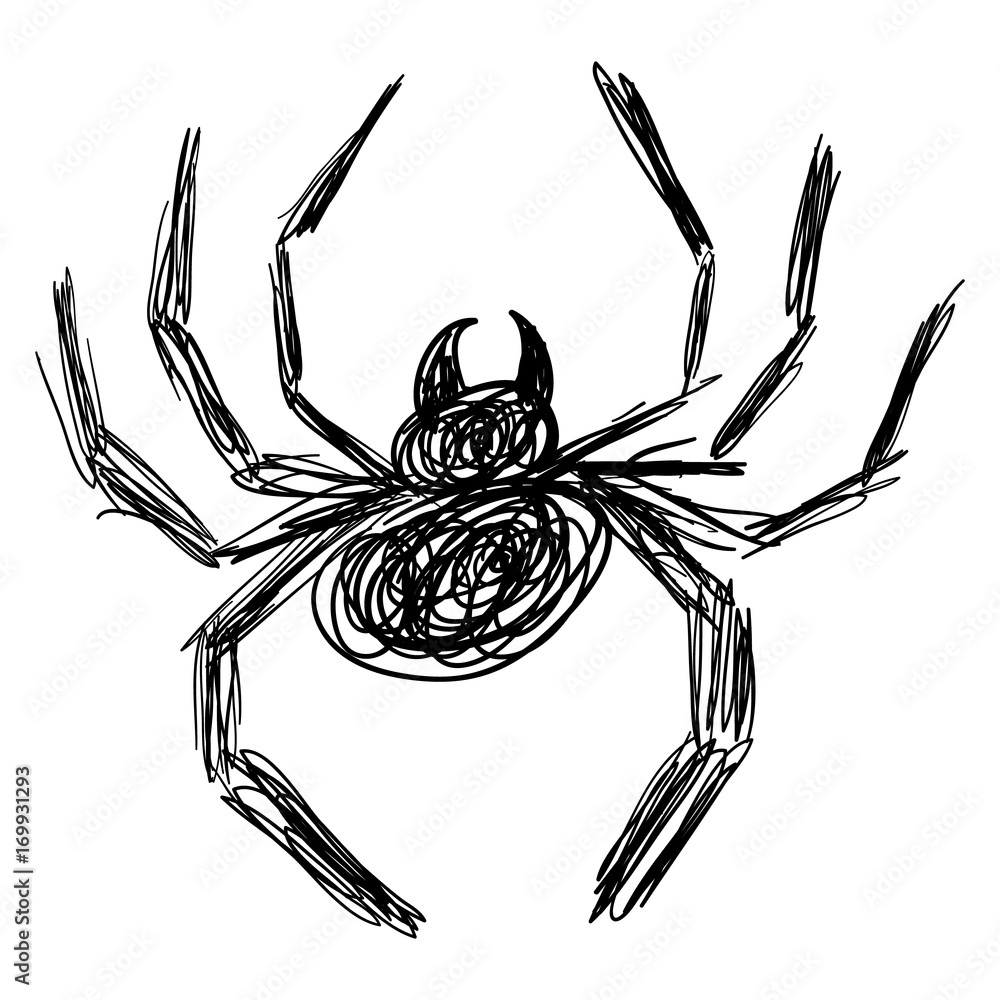 Black Hand Drawn Spider Sketch - Doodle Isolated Stock Illustration ...
