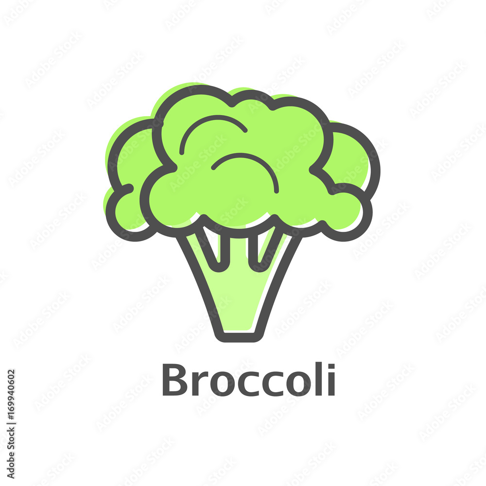 Broccoli color thin line vector icon. Isolated cauliflower vegetable ...