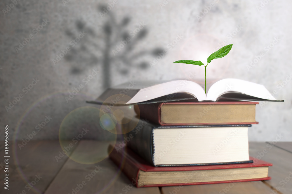 Open book with tree shadow Stock Photo | Adobe Stock