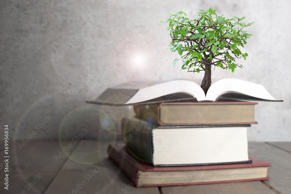 Tree growth from book Stock Photo | Adobe Stock