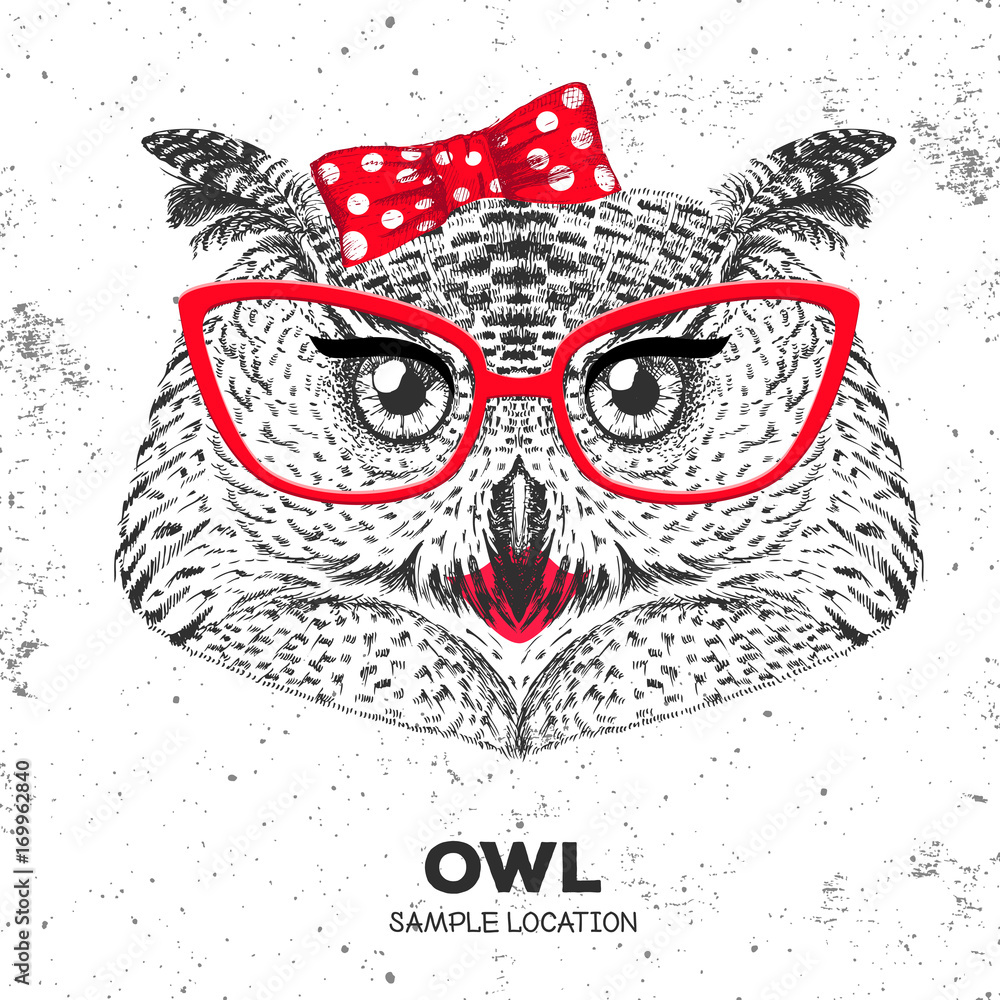 Hipster Drawing Owl