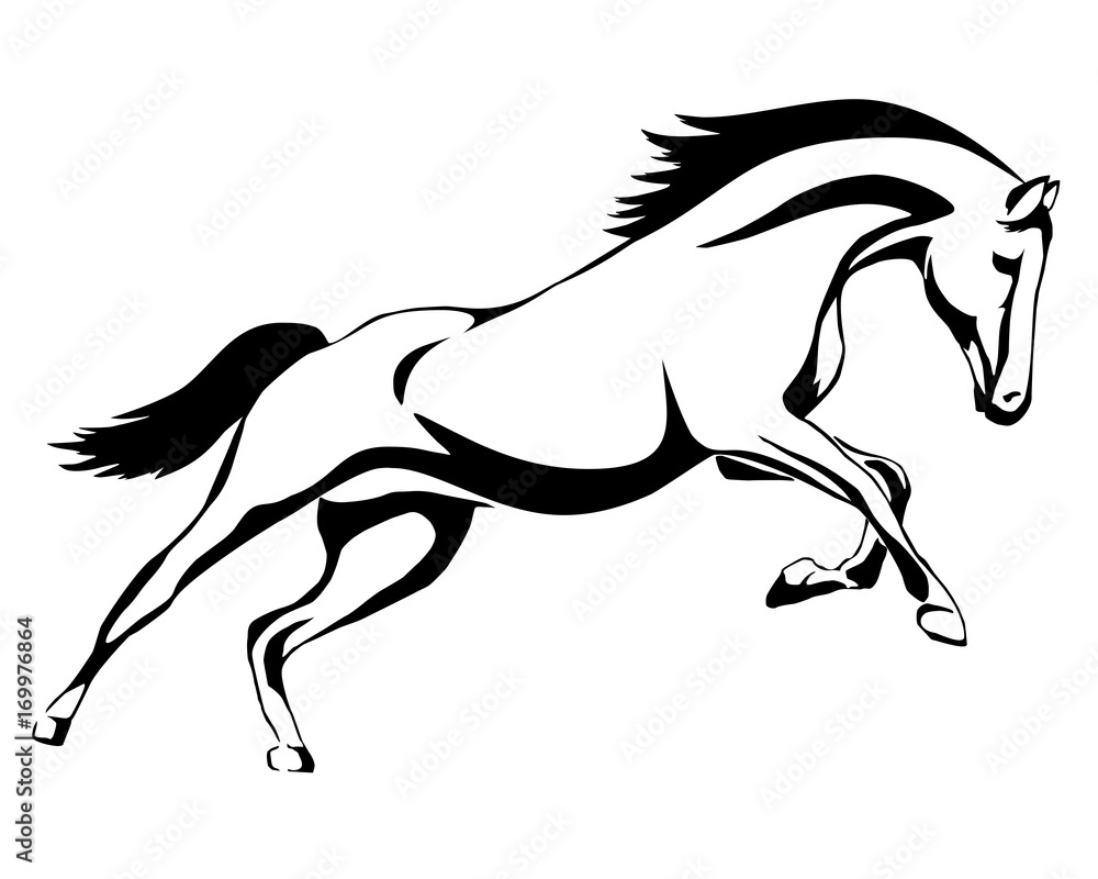 Running black line horse on white background. Vector graphic. Stock ...