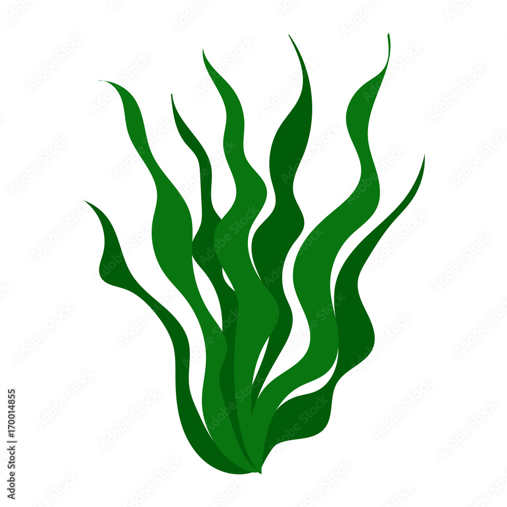 Green algae isolated illustration on white background Stock Vector ...