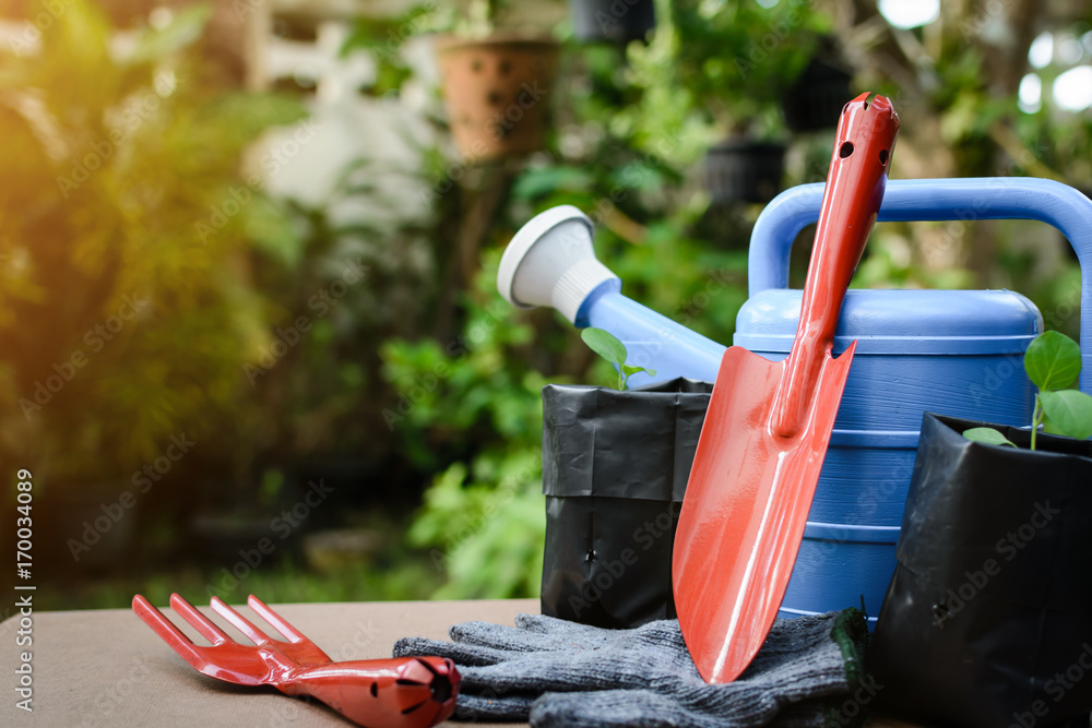 Tools on planting on wood table and farm work Stock Photo | Adobe Stock