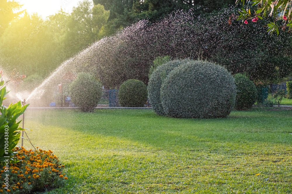 Sprinkler system watering the lawn with water drops caught in the air ...