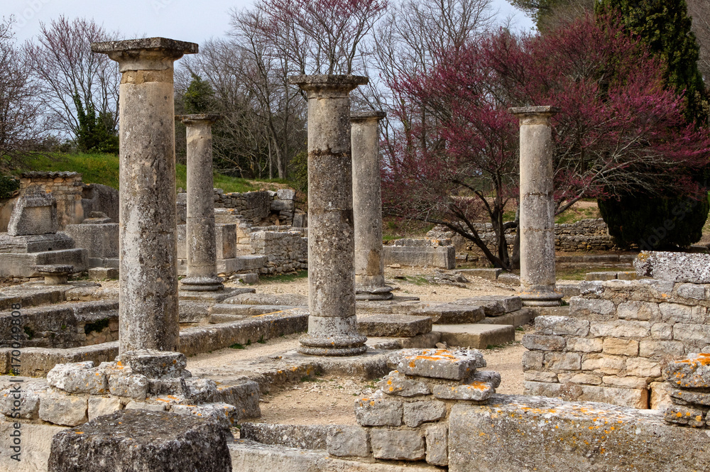 The archeology site of Glanum, in Provence Stock Photo | Adobe Stock