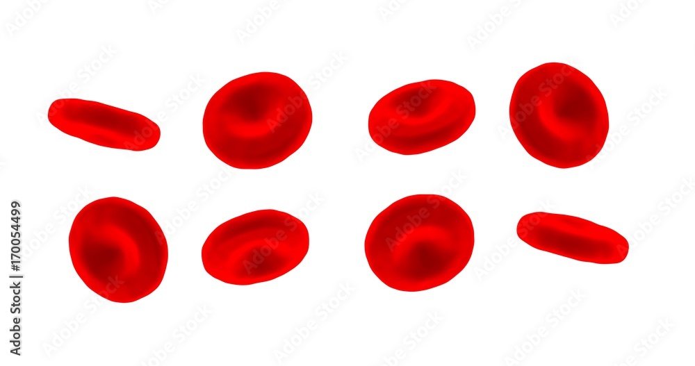 Red blood cells isolated on white background. Stock Illustration ...